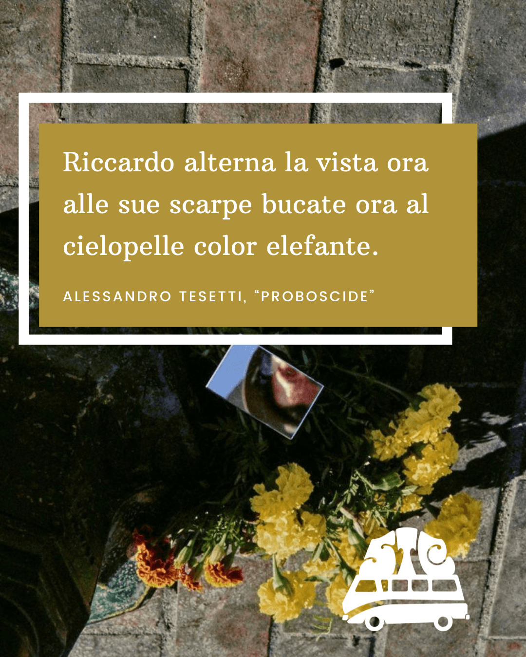 Proboscide – STC Edizioni